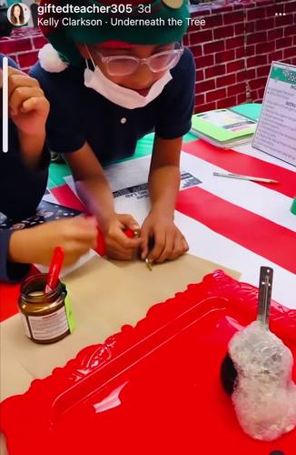 Matter Changes: Physical and Chemical Changes Christmas Potions Lab