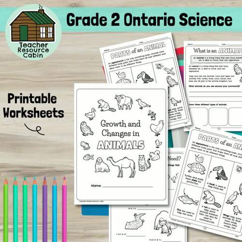 Grade 2 Science Workbooks (NEW 2022 Ontario Curriculum) | TPT
