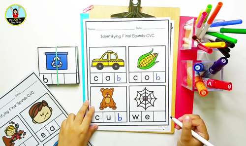 CVC Final Sounds Worksheet by The Joy in Teaching | TPT