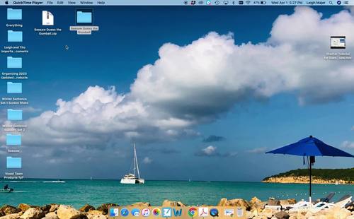 Seesaw Distance Learning - Guess the Gumball CVCe Activities by Leigh Majer
