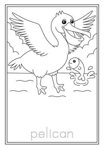 Australian Animals Colouring Worksheets by Ebook Activities | TPT