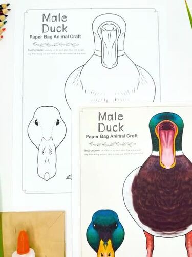 BUNDLE | Duck | Printable Paper Craft Templates | Ducks | Crafts