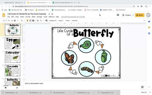 Digital Life Cycle of a Butterfly Self-Directed Research | for Distance ...