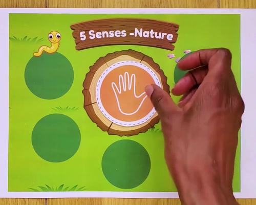 Nature Five Senses, Human Anatomy, Kindergarten and First Grade Science