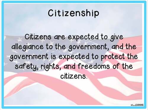 Government Unit: Branches of Government, The Bill of Rights, US ...