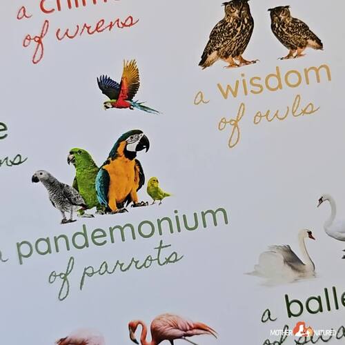Collective Nouns for Animals | Collective Nouns Poster | Collective ...