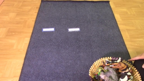 Montessori Vertebrates and Invertebrates Lesson (Concrete) by ...