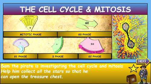The Cell Cycle & Mitosis Powerpoint + Worksheets. Middle School Life ...