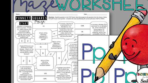 Punnett Squares Maze Worksheet Activity in Print & Digital with ...