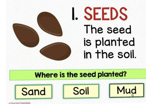 1ST GRADE ELA & MATH Autumn Apples BOOM CARD Bundle by Teacher Features