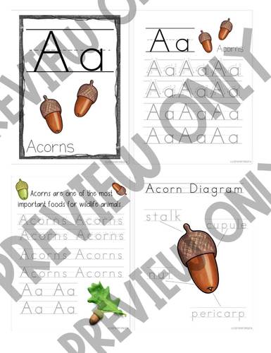 Alphabet Penmanship- Alphabet Writing Practice- Correct Letter Formation