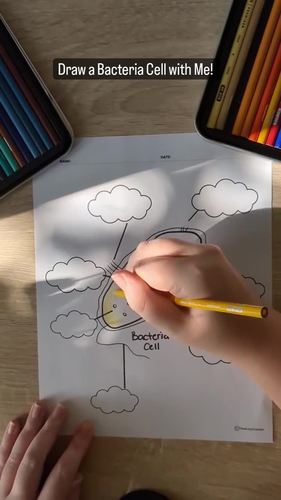 Middle School Biology: Parts of a Bacteria Cell - Label and Color Activity