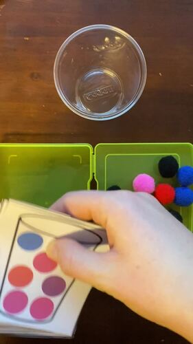 Pom Pom Cup Matching Visual Discrimination, Fine Motor Skills, Color ...