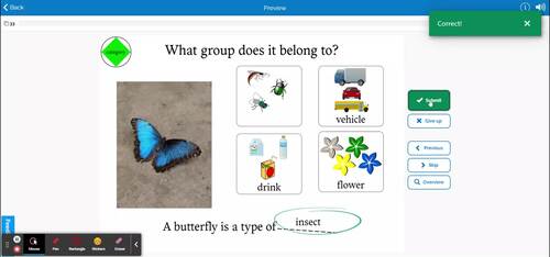 Category: Describe it! BOOM Card™ by SC Speechie | TPT