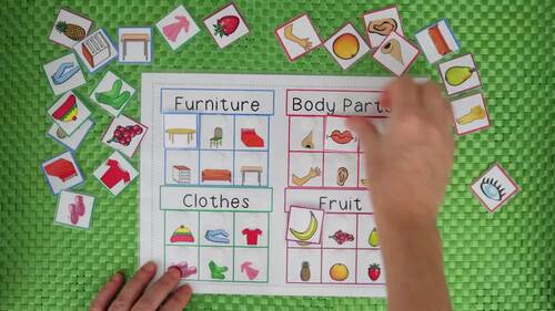 Category Matching Activity, 4 Categories-24 Pictures, Teach Categorization