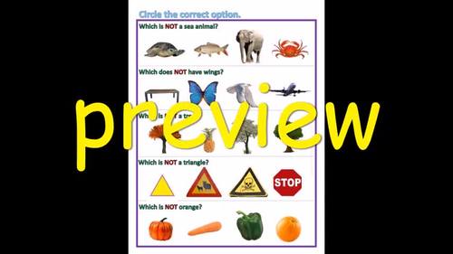 Negation- Worksheets with real images by Partshala Learning School