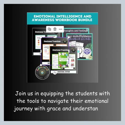 Emotional Intelligence and Awareness bundle by Behavioral Concepts Store