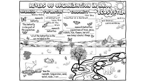 Ecosystem Levels of Organization Doodle Notes, Quiz, & PP | NGSS Life ...