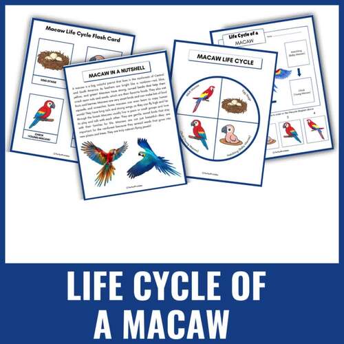Life Cycle of a Macaw, South American Birds science unit study with fun ...