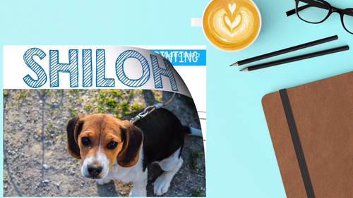 Shiloh Novel Unit Bundle: Print & Digital Novel Study Bundle | TpT