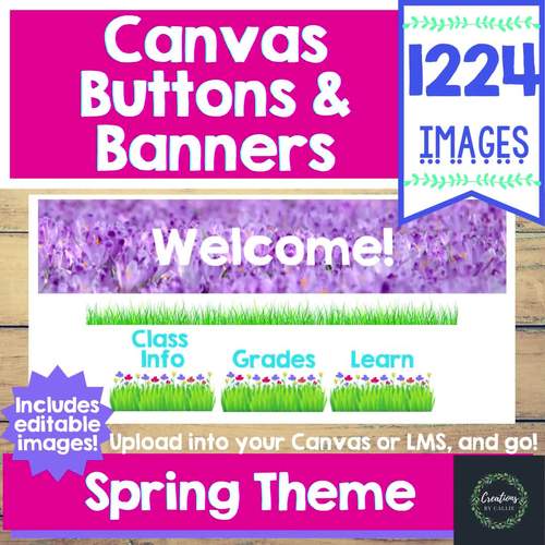 Canvas Buttons and Banners - Spring Theme - Distance Learning | TPT