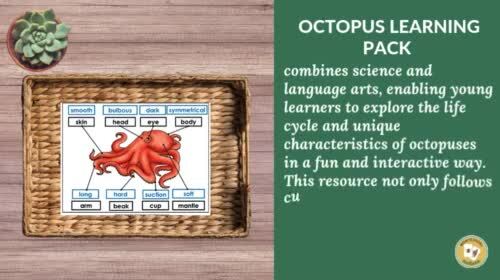 Parts of an Octopus Life Cycle Types: Montessori Nomenclature 3 Part ...