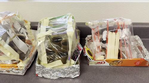 Greenhouse STEM Activity by IB Teaching | TPT