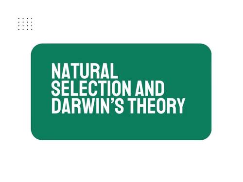 AP BIOLOGY: EVOLUTION EXAM REVISION QUESTIONS BUNDLE | TPT