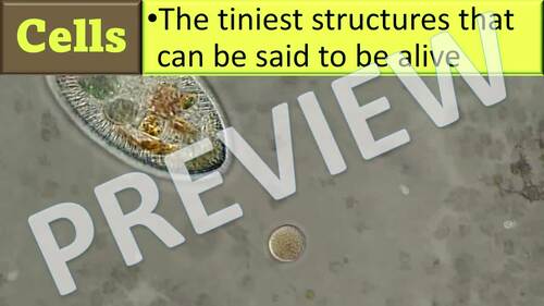 The Cell Theory Interactive PowerPoint Presentation and FREE Guided Notes