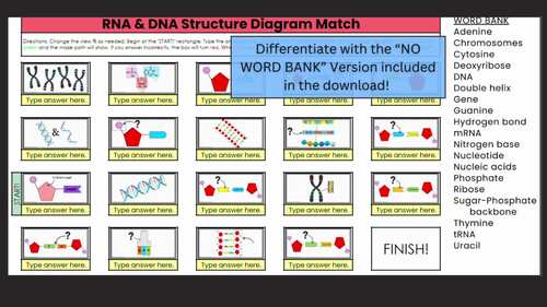 Biology Visual Vocabulary Self-Checking GROWING Bundle | TPT