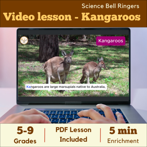 Science bell ringer video (4 min) - Kangaroos - Middle school | TPT