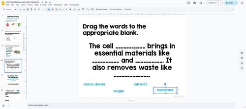 Cell Membrane and Cell Transport Interactive Lesson | TPT