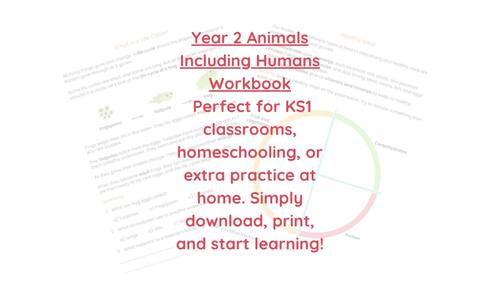 Year 2 Science Workbook: Animals Including Humans | 14 Printable Worksheets