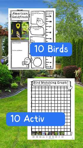 10 Texas Backyard Birds to Know | Avian Activity Book | TPT