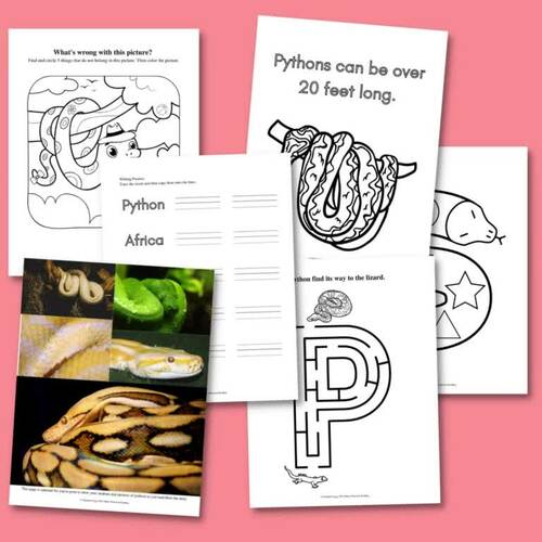 Python Lesson with Story and Activities by More Than Just Reading