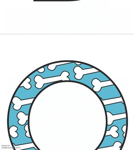 Skeletons Classroom Display Materials (Bones, X-rays, vertebrates)