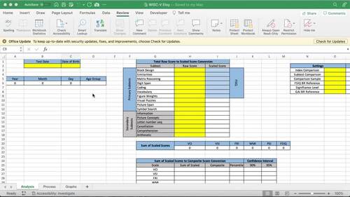 WISC-V AutoScoring Template (Weschsler Intelligence Scale for Children 5th)