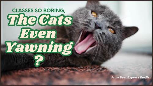 Turn Up & Teach Grammar Bite 11 - Phrasal Verbs 1 General | TPT