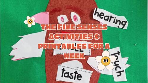 The 5 Senses Activities for a Week! by Nomadic Bee | TPT