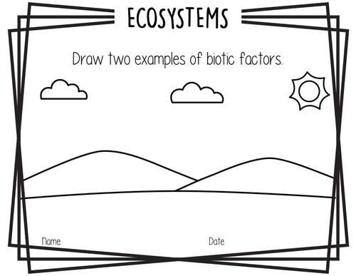 Ecosystems Exit Tickets | Science Exit Slip | Warm-Up | Doodle Assessments