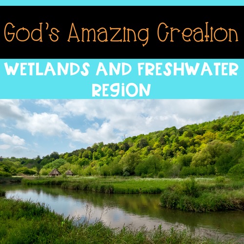 Wetlands Region Habitat Video Lesson second Grade | TPT