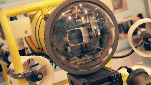 Author's Point & Supporting Reasons Reading Comprehension Escape Room ...