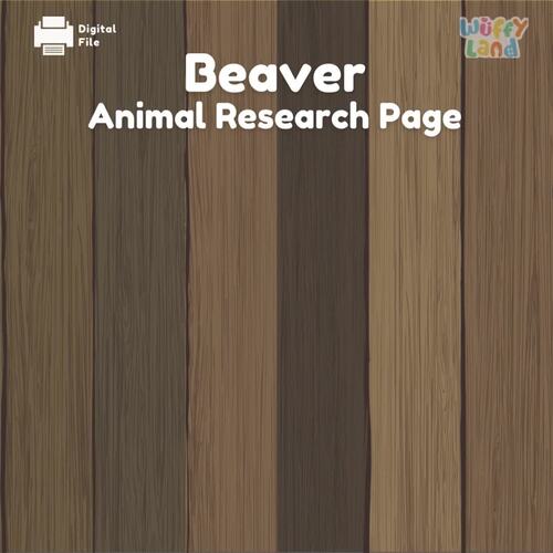 Beaver Life Cycle & Animal Research Bundle | Wetlands | Real Images Science