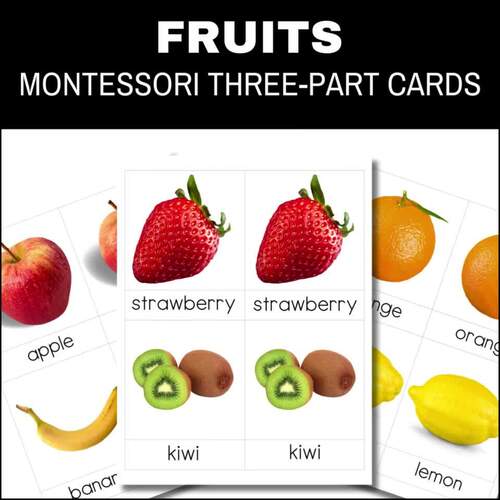 Montessori Fruits 3 Part Cards, Montessori 3 Part Cards, Montessori