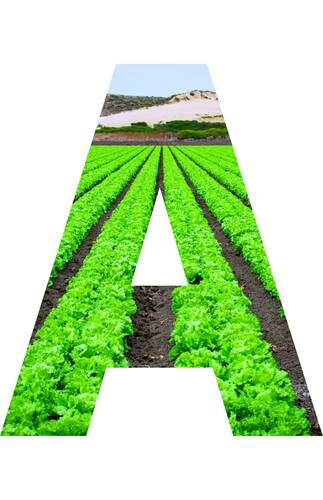 FFA & Ag Classroom Decor Posters | Motivational Agriculture Quotes Set