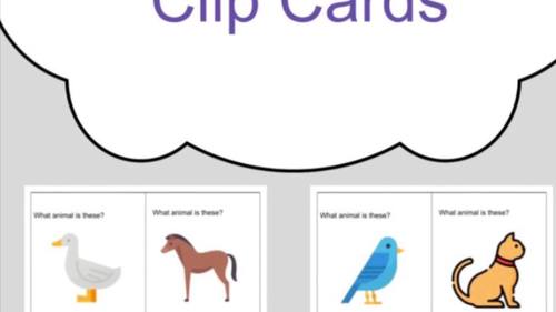 Animals distance learning folder, activity flash Cards | TpT