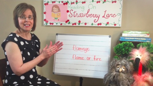 VIDEO: Reading: Set 1. Lesson 47. Word Family Pattern -it | TpT