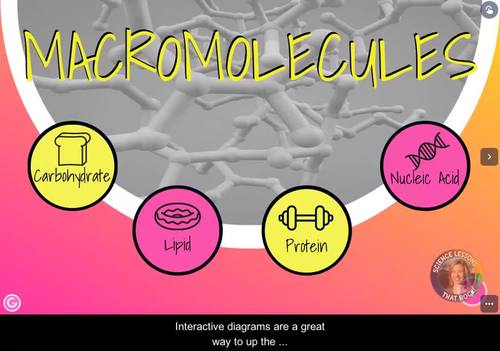 Macromolecules Biomolecules Interactive Diagram by Science Lessons That ...