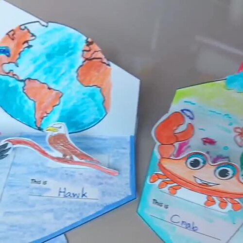 World Wildlife Day 3D Craft : Writing Name Animals Activities /Fun & Easy