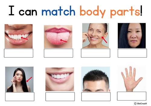 Body Parts |Vocabulary Speech Therapy | Autism Visuals Activities ...